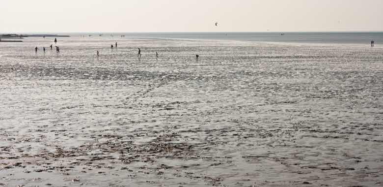 Keep out of the "Muddy Middle" when Selling Professional Services | Ian ...